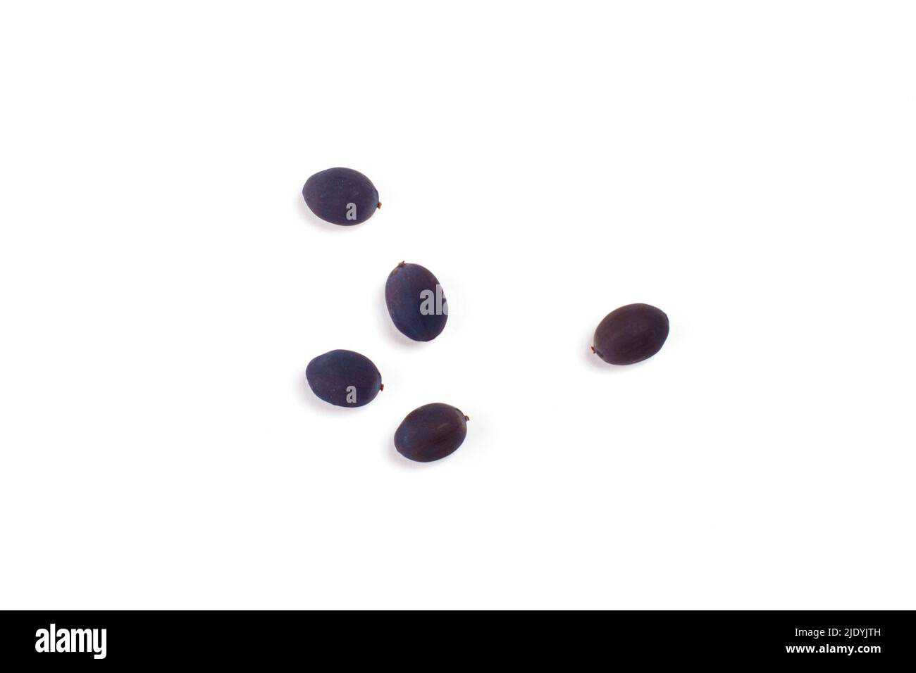 Organic lotus seeds close up isolated on white background Stock Photo ...