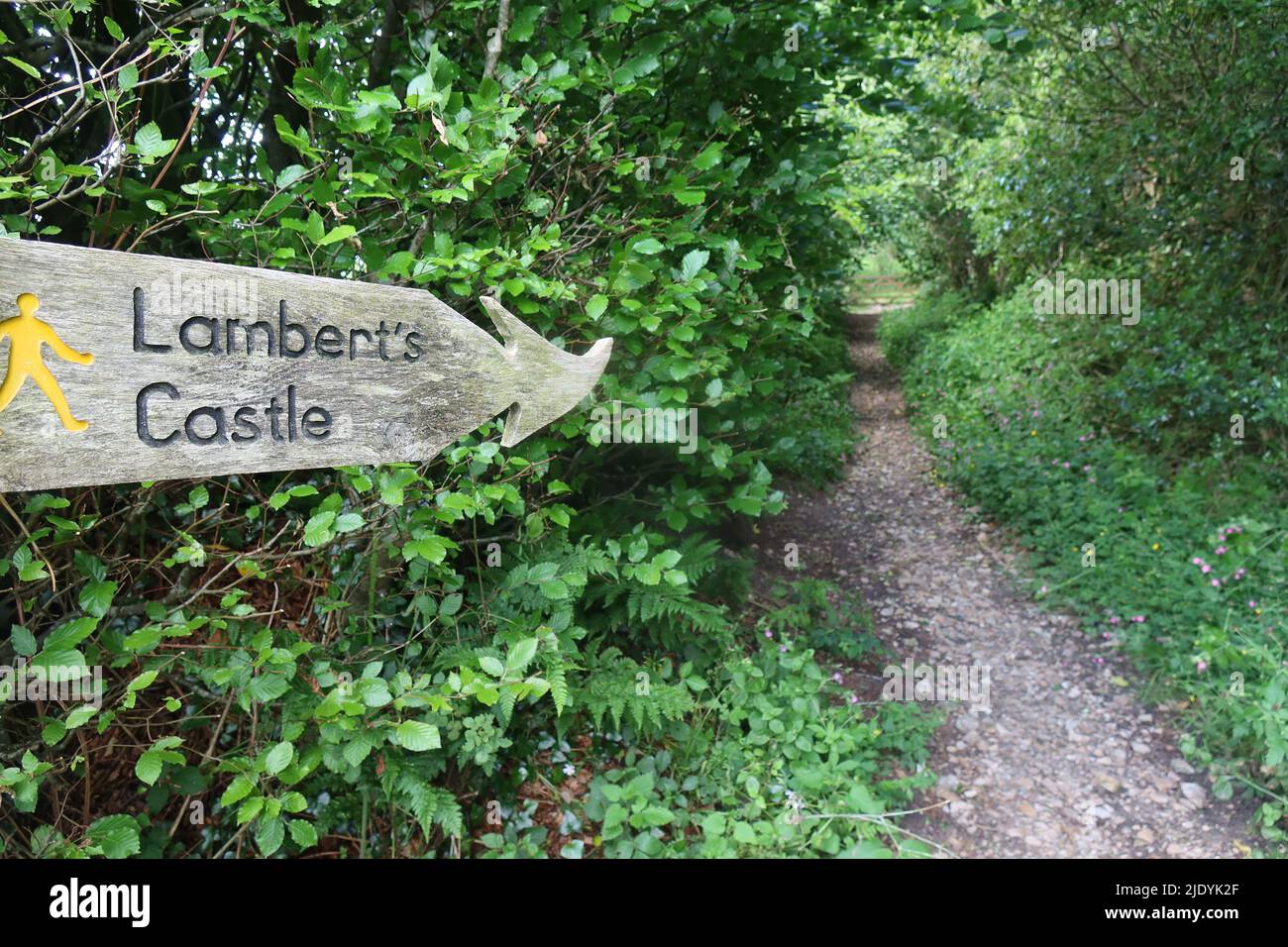 Wessex ridgeway dorset hi-res stock photography and images - Alamy