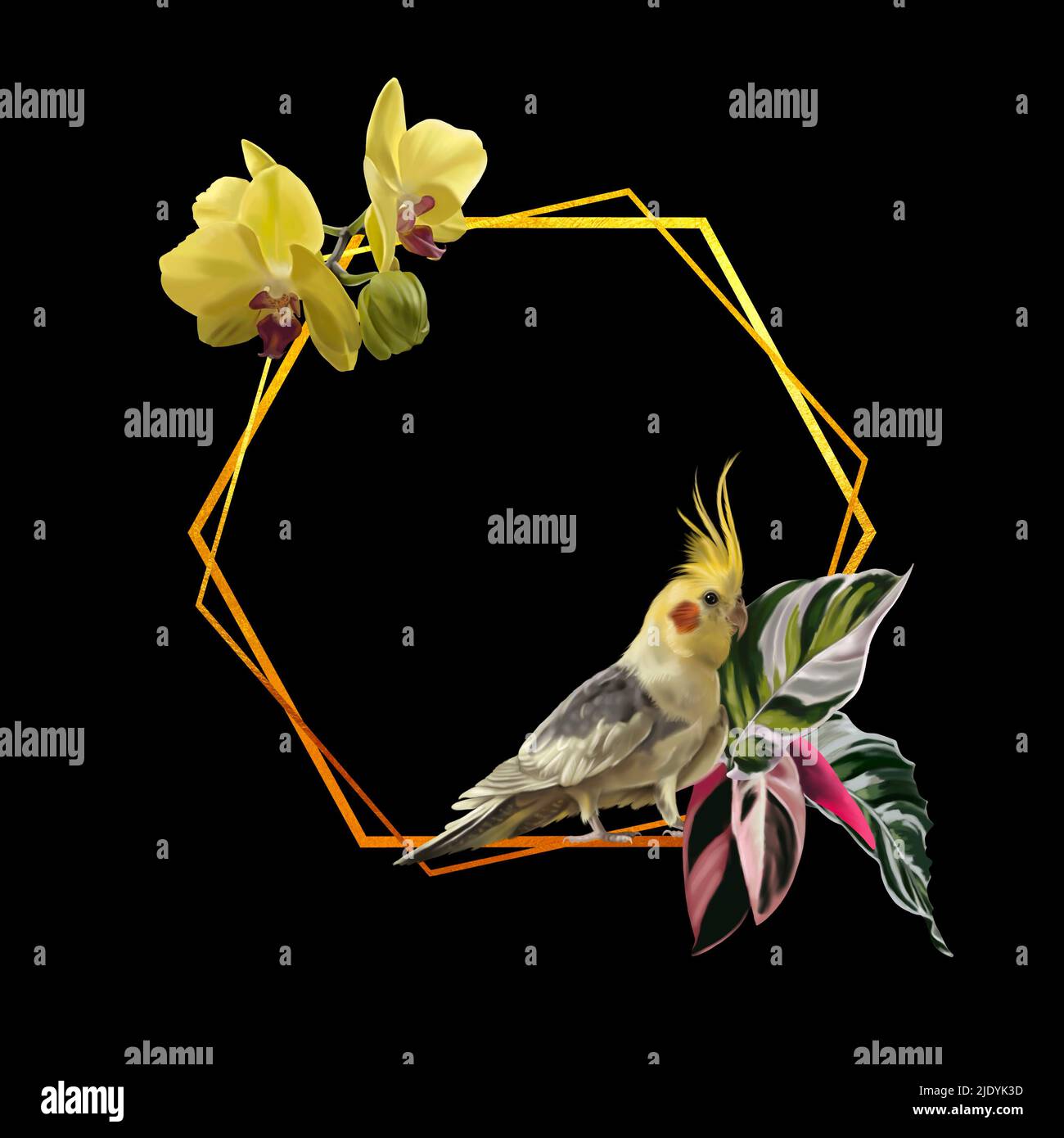 watercolor realistic frame. Tropical frame with corella parrot, orchids ...