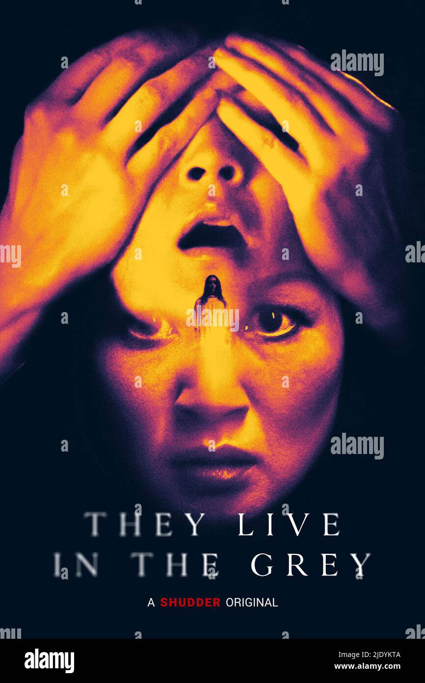 THEY LIVE IN THE GREY (2022), directed by BEE VANG and ABEL VANG ...