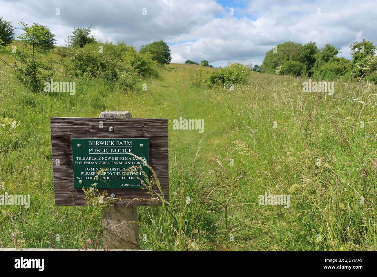 Wessex ridgeway dorset hi-res stock photography and images - Alamy