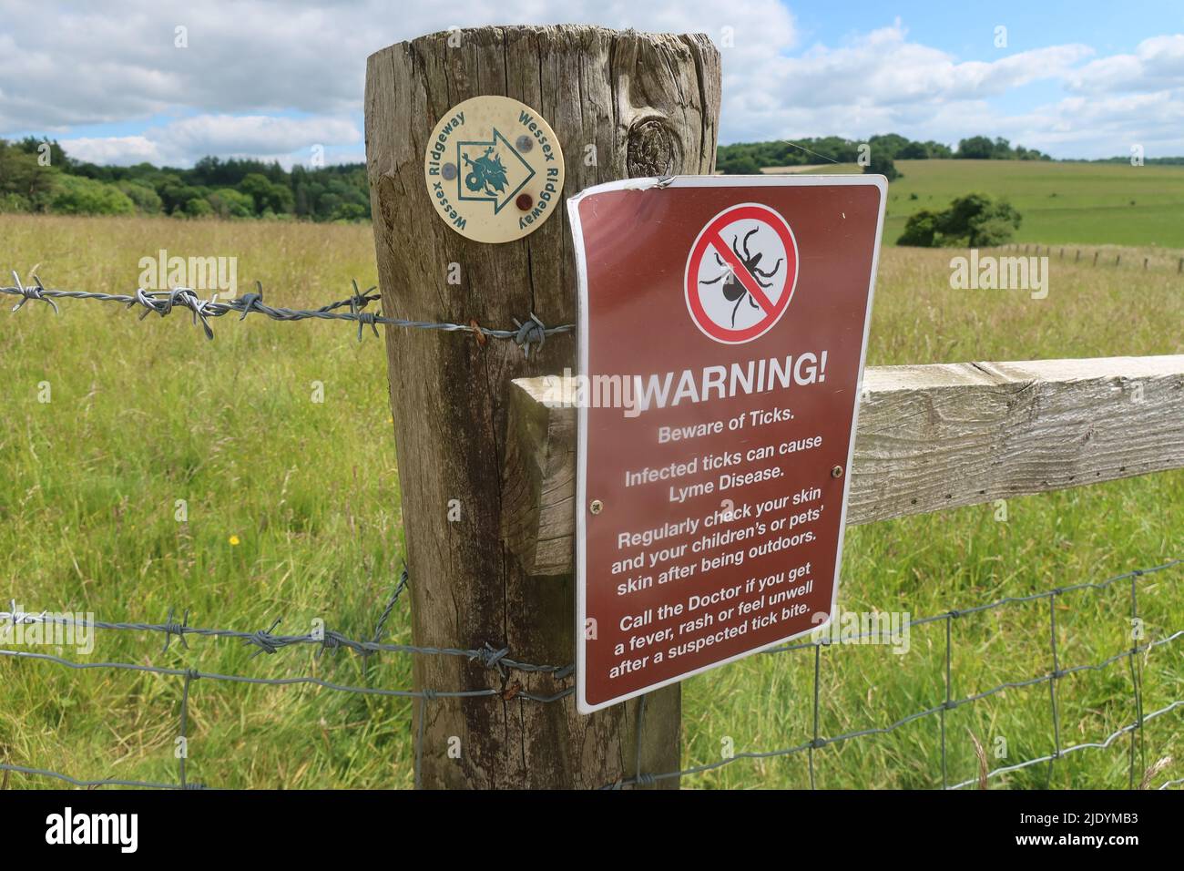 Warning ticks. Lyme disease. Wessex ridgeway. Wiltshire. Dorset. West ...