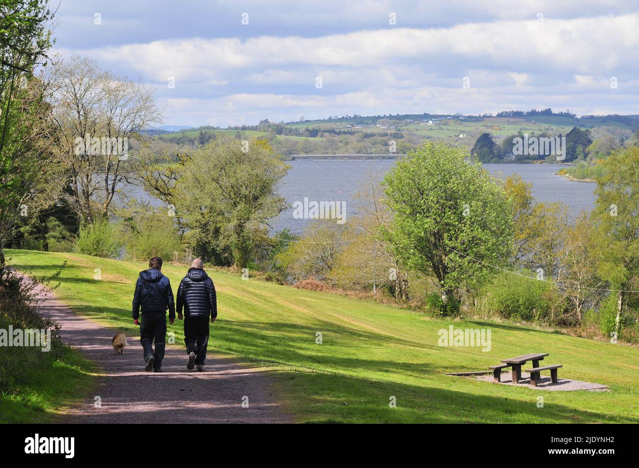 Inniscarra lake hi-res stock photography and images - Alamy