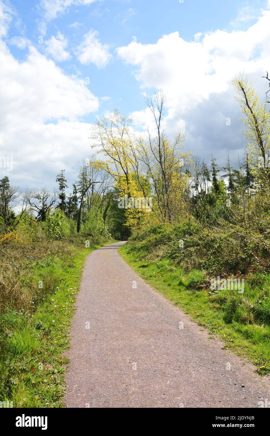 Visit farran hi-res stock photography and images - Alamy