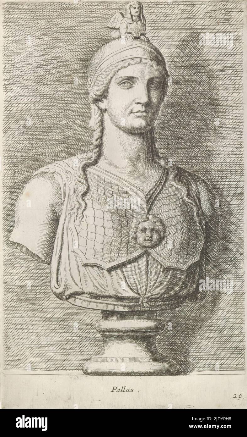 Bust of Minerva, Pallas (title on object), Classical bust of Minerva ...