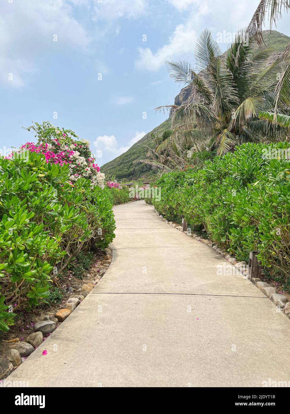Cement trails with green spaces in the resort Stock Photo - Alamy