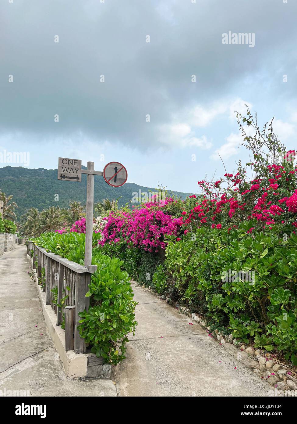 Villa path way at the tropical resort Stock Photo - Alamy