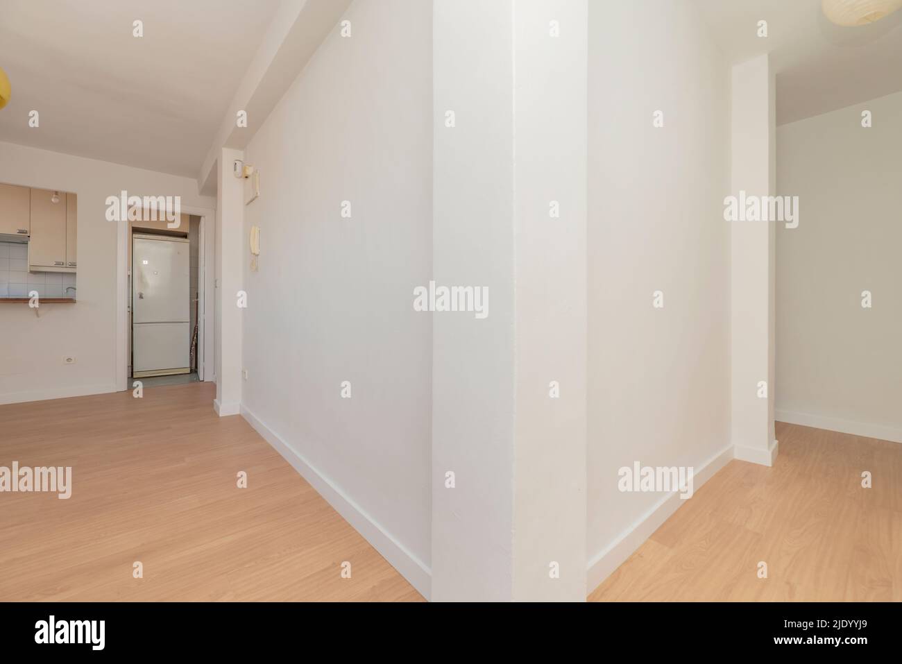 Empty home with hallways with light oak floorboards and plain white ...