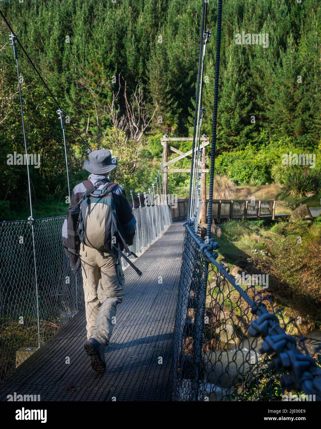 Man walking on the swing bridge in Tangoio Walkway, Hawke’s Bay ...