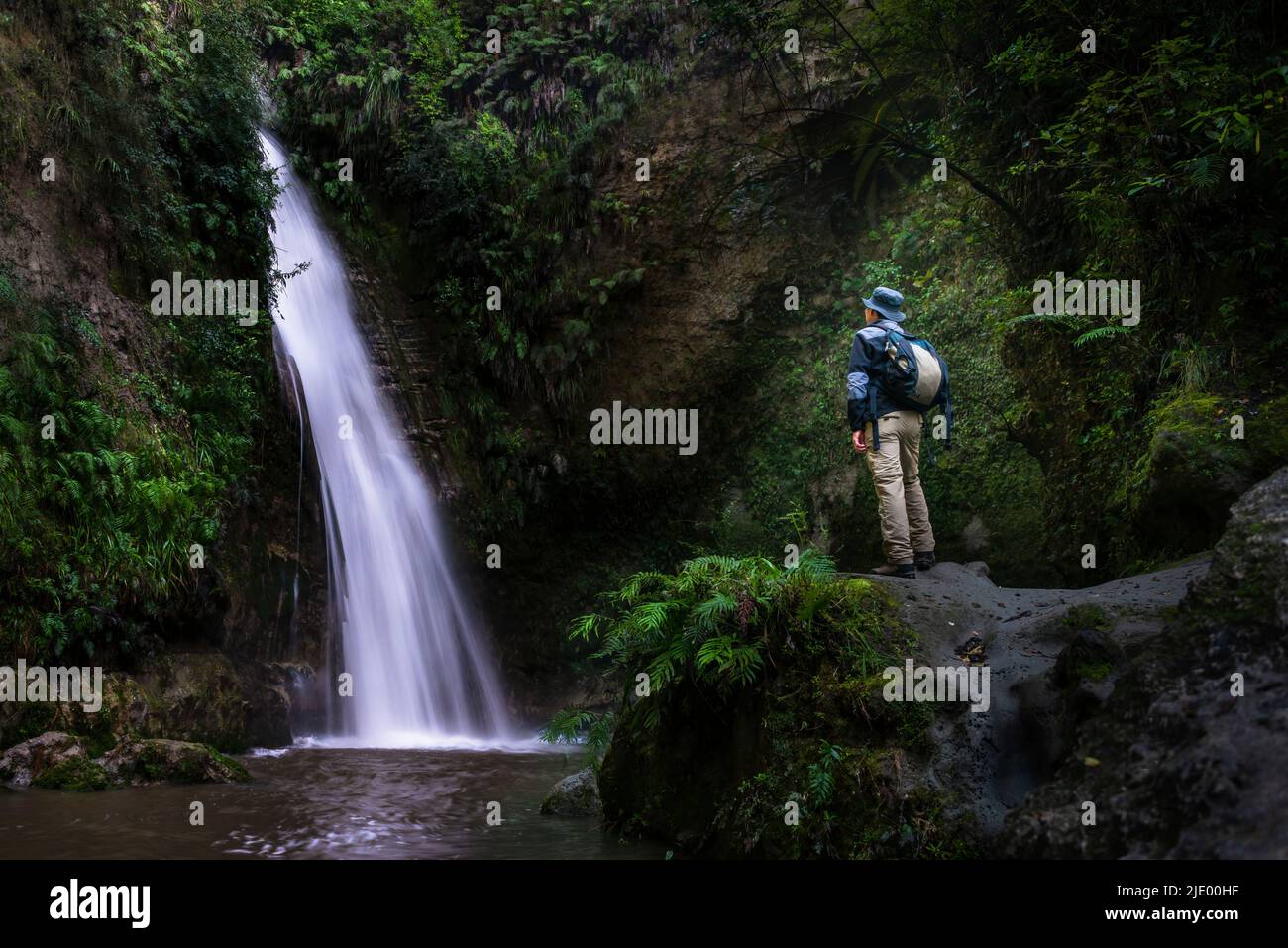 Tourist admiring Te Ana waterfalls, Hawke’s Bay Stock Photo - Alamy