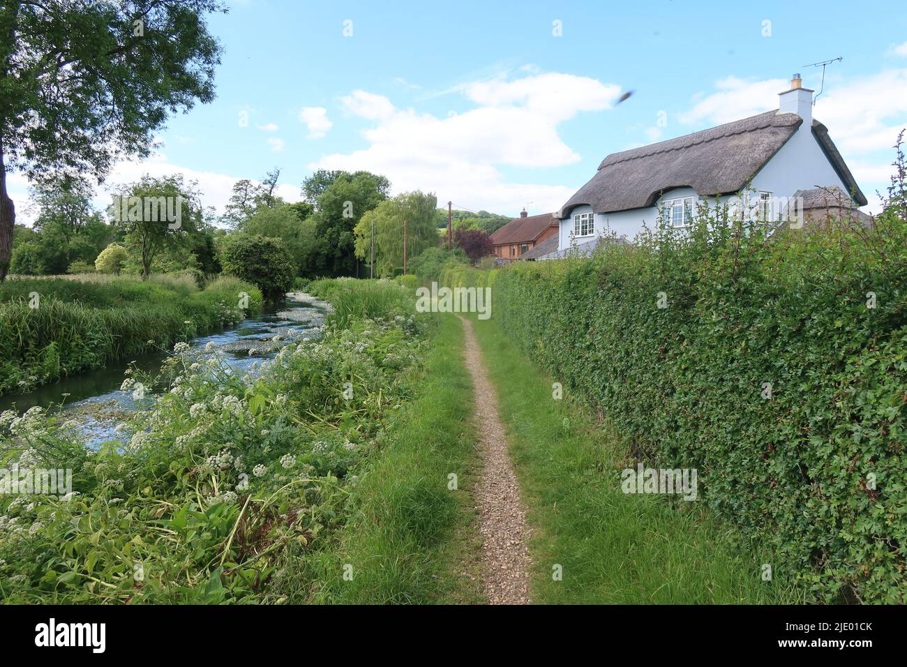 Wessex ridgeway. Wiltshire. Dorset. West Country. South West. England ...