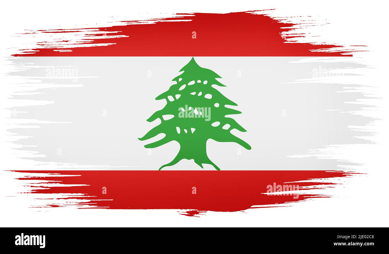 colorful hand-drawn brush strokes painted national country flag of ...