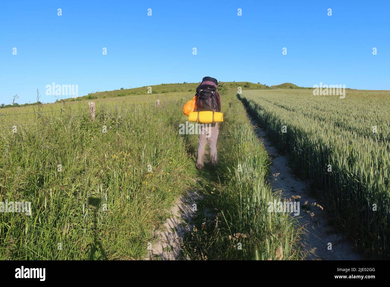 Wessex ridgeway. Edge of Salisbury Plain. chalk plateau. Wiltshire ...