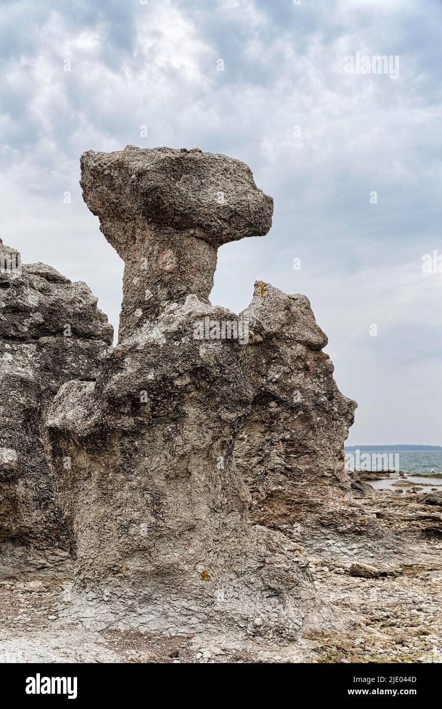 Bizarre rocket, Raukar, limestone column, rocks on the coast, erosion ...