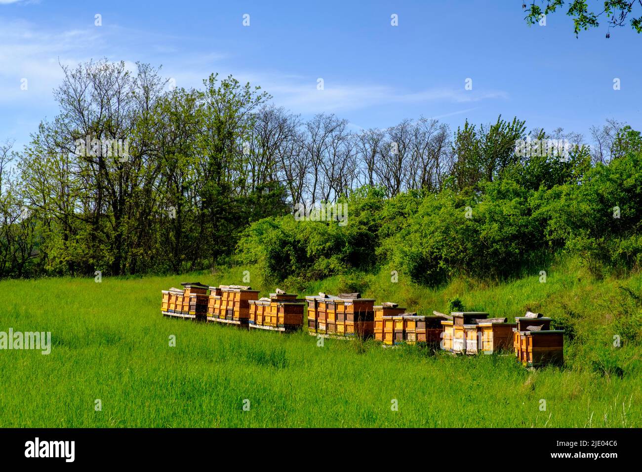Austria europe bee beehive hi-res stock photography and images - Alamy