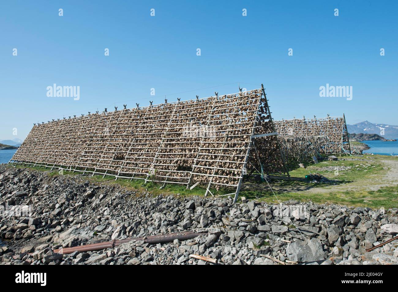 Fish scaffolding hi-res stock photography and images - Alamy