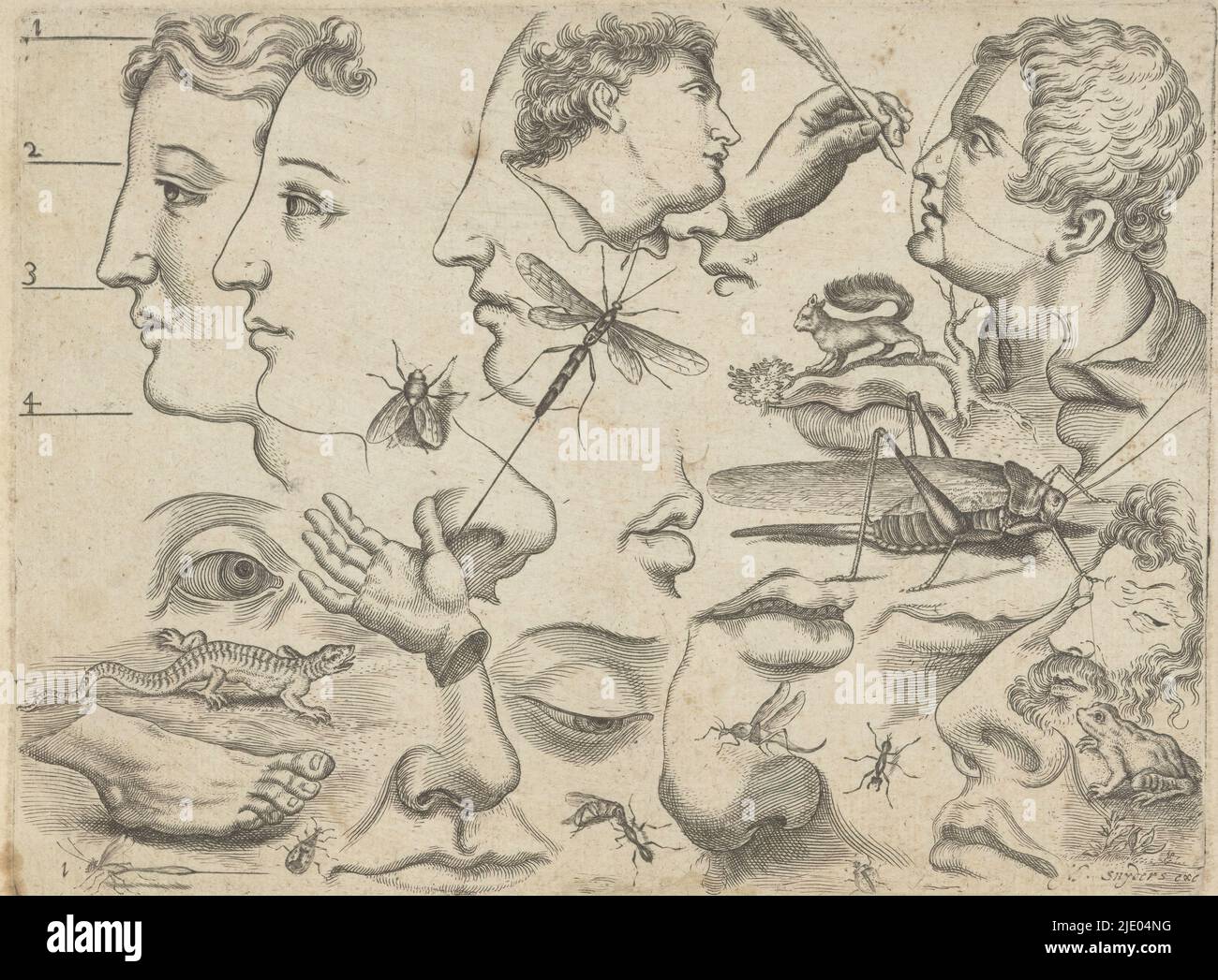 Study sheet with drawing examples: heads, body parts and animals ...
