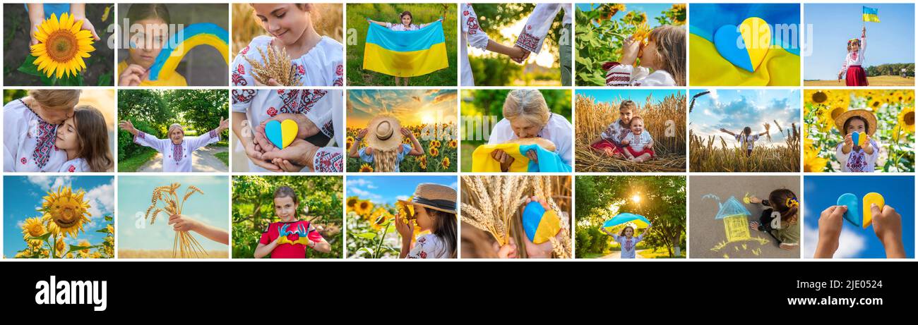 National flag ukraine sunflower Cut Out Stock Images & Pictures - Alamy