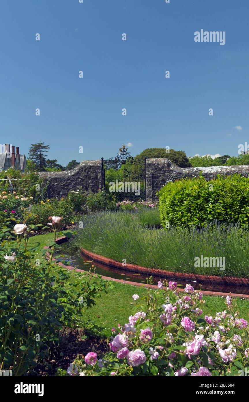 The Rose Garden, summer 2022, June, Saint Fagan's museum, Cardiff Stock ...