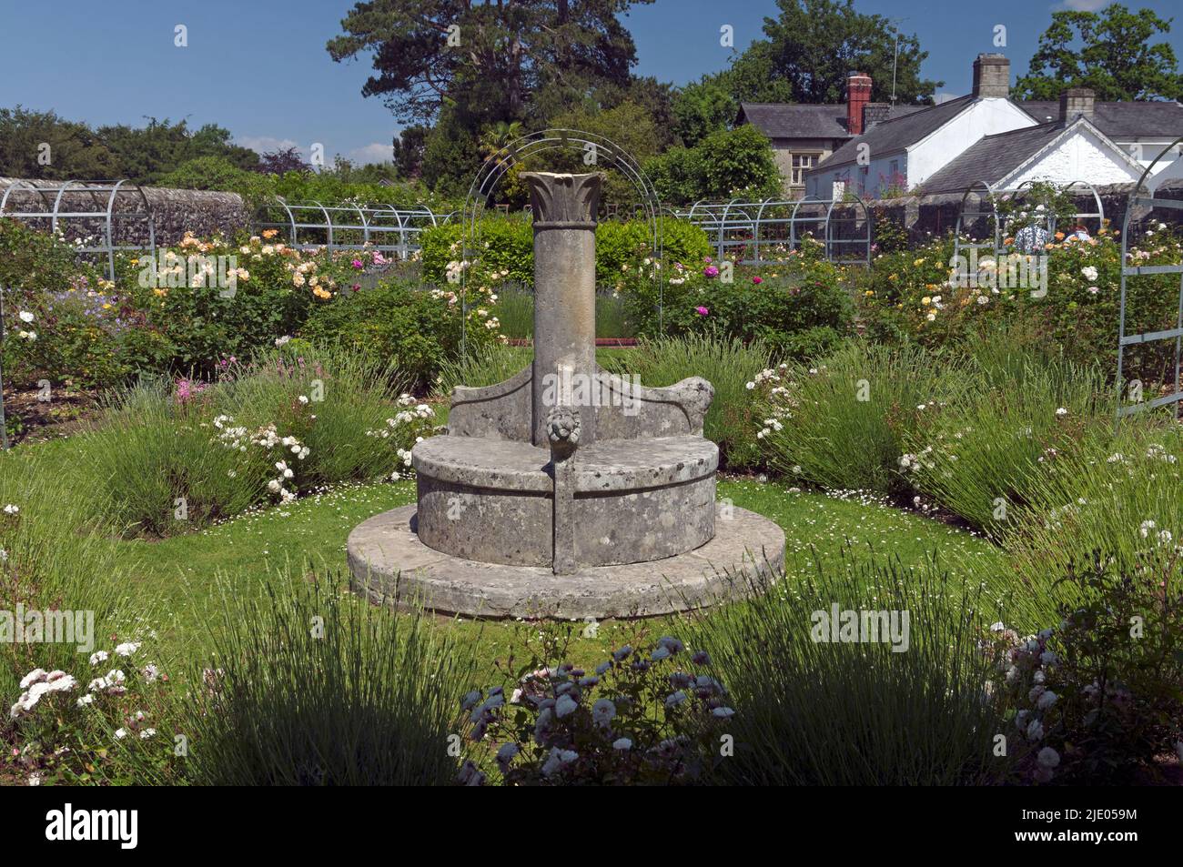 The Rose Garden, summer 2022, June, Saint Fagan's museum, Cardiff Stock ...