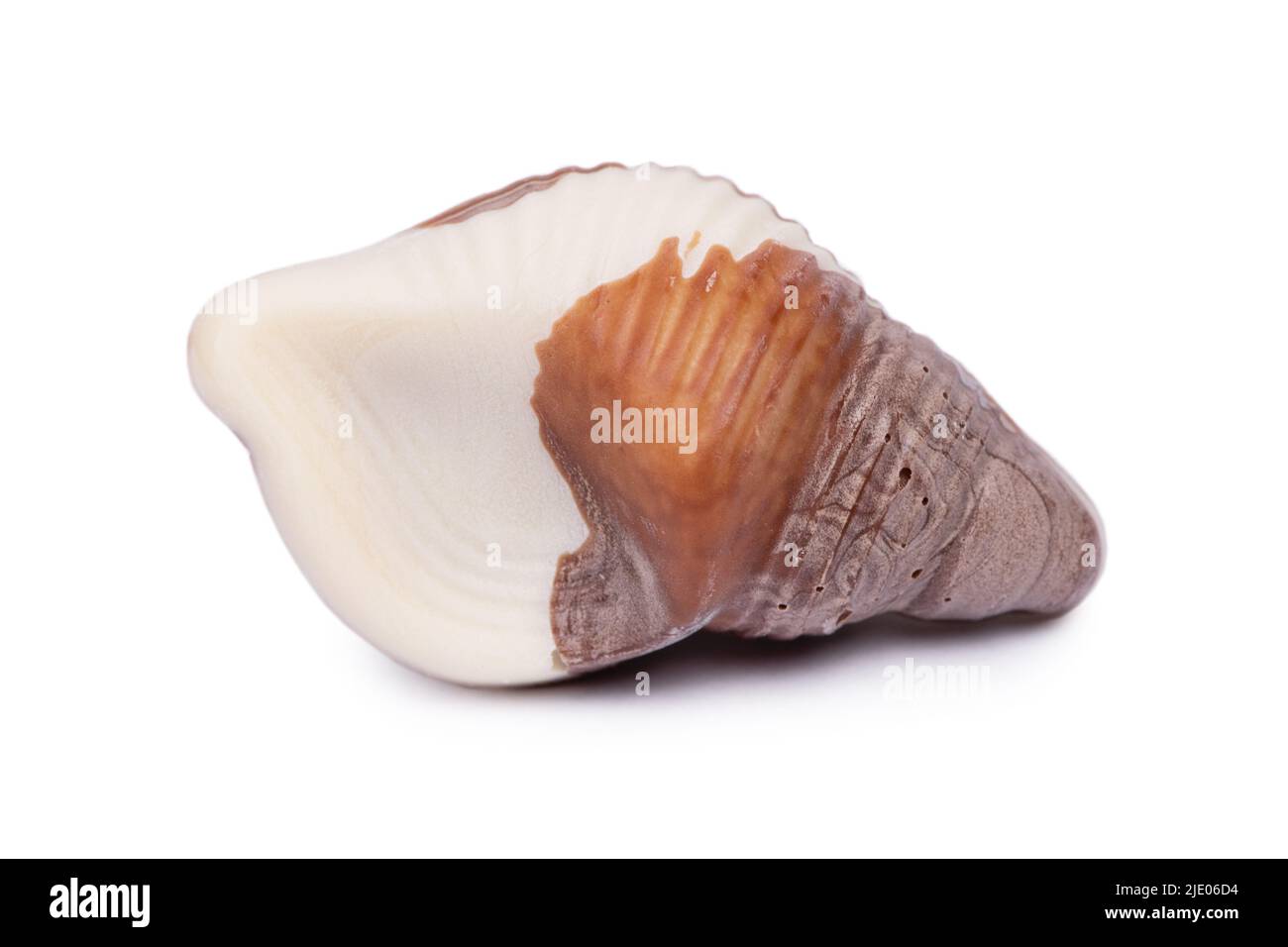 One seashell chocolate bar isolated on white background Stock Photo - Alamy