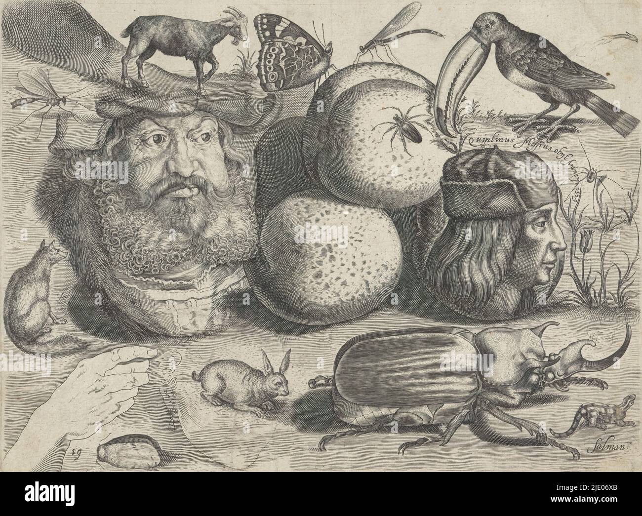 Study sheet with drawing examples: portraits, animals, insects, Drawing ...