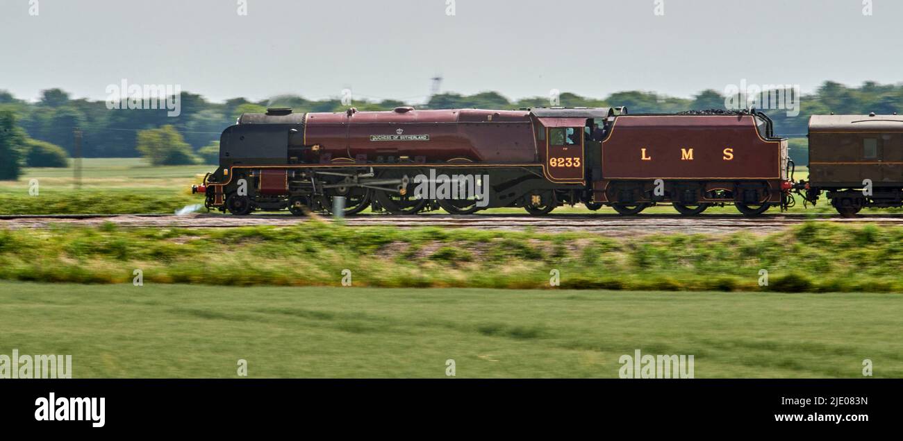 Duchess of sutherland steam locomotive hi-res stock photography and ...