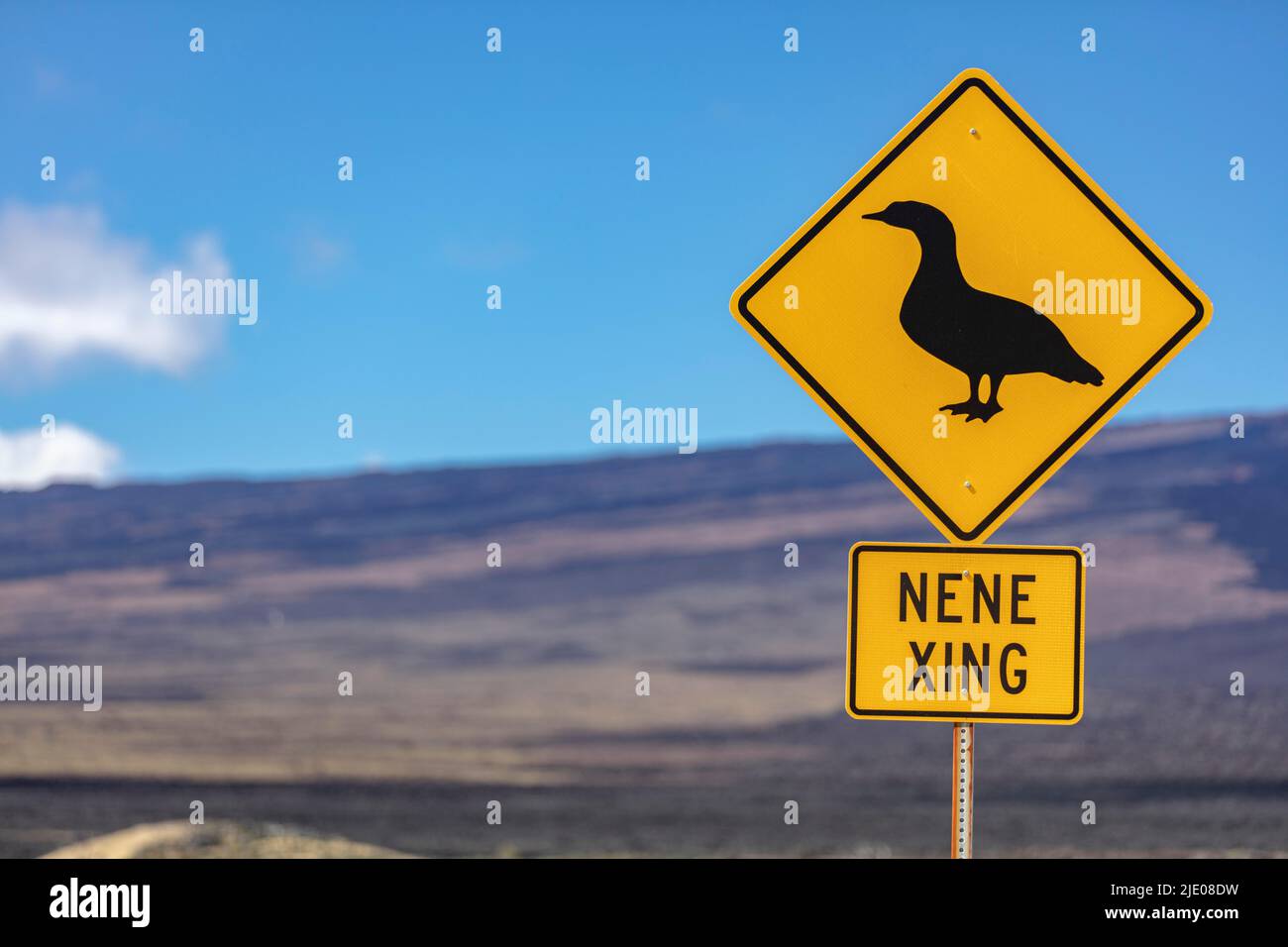Warning sign, road sign, Nene, Hawaiigans, Saddle Road, Big Island ...