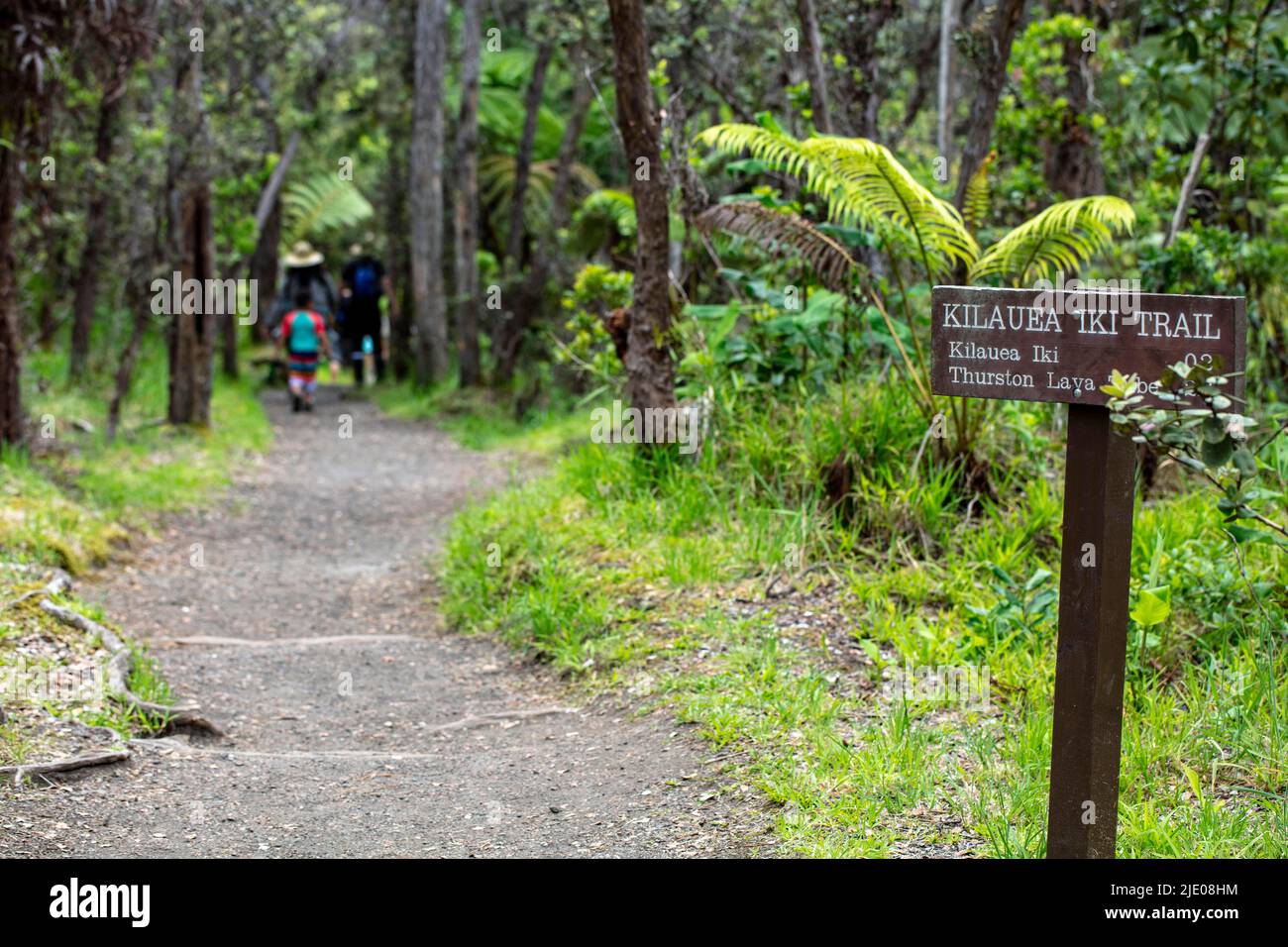 Hiking Trail Kilauea Volcano Hawaii Volcano, Chocolate, & Waterfalls