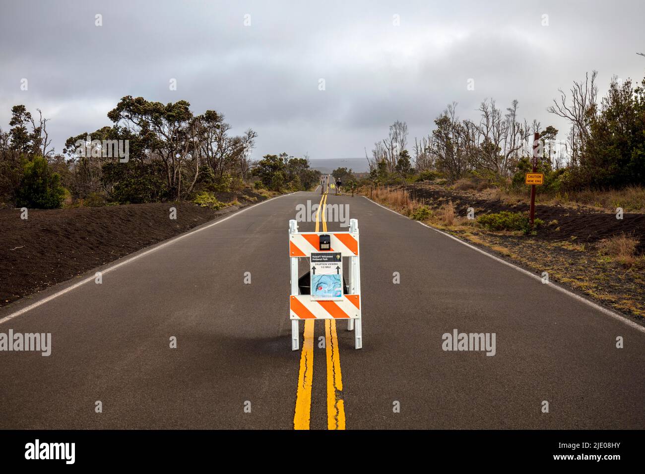 The Kilauea Iki Hiking Trail, Kilauea Volcano, Hawaii Volcanoes ...