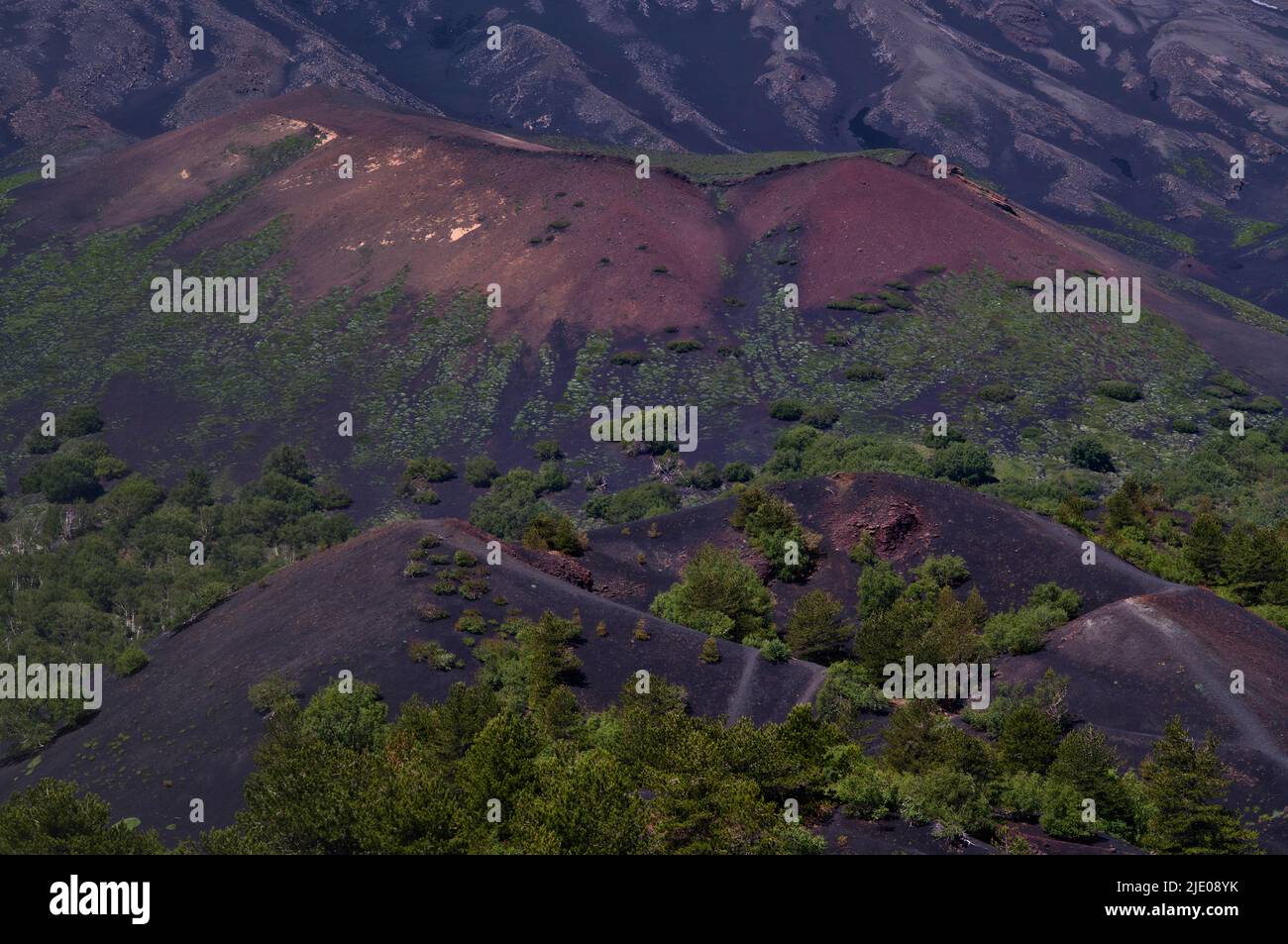 Circular trail around Monti Sartorius, red lava stones, volcanic soil ...