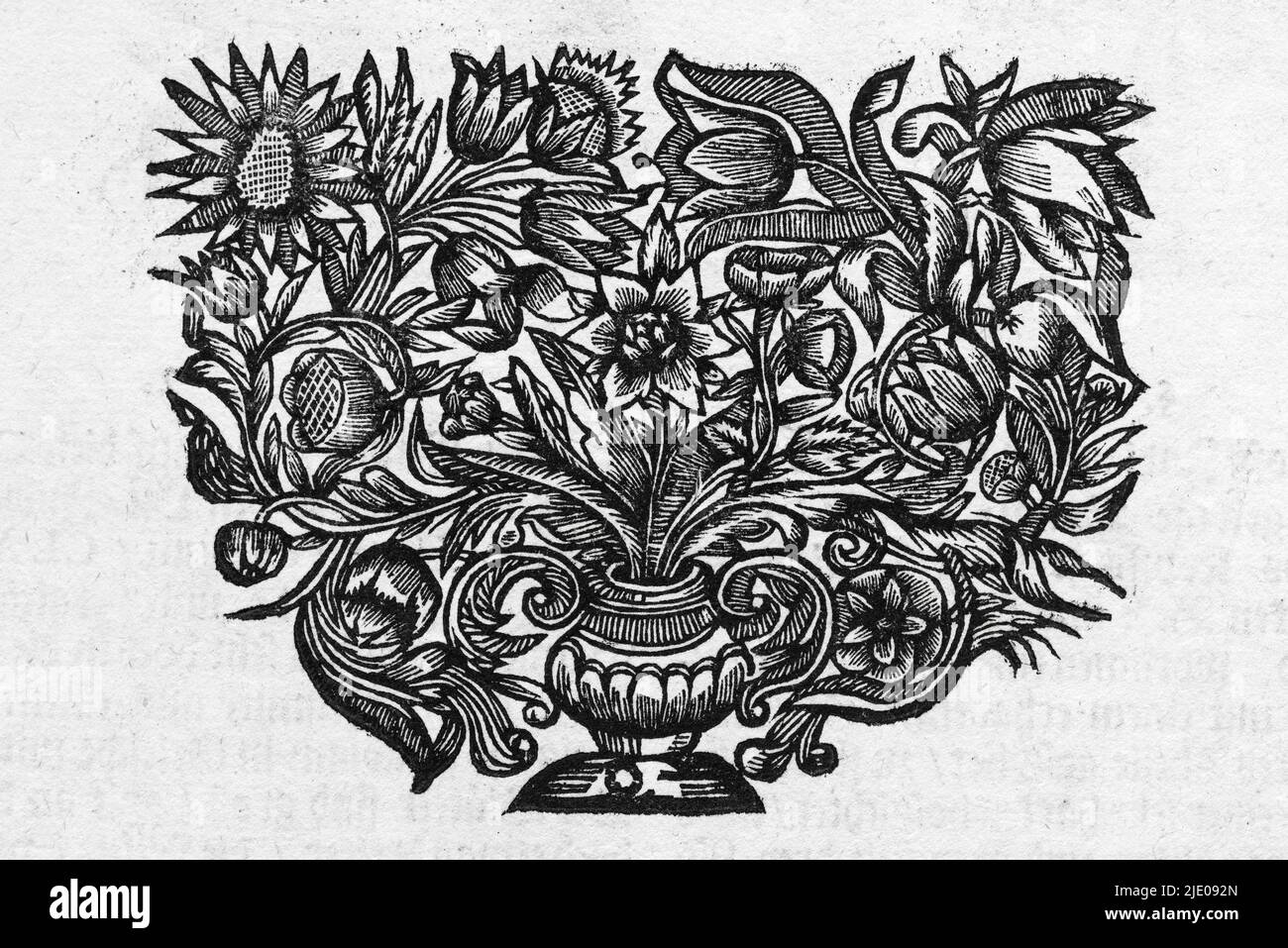 Copperplate engraving museum Black and White Stock Photos & Images - Alamy