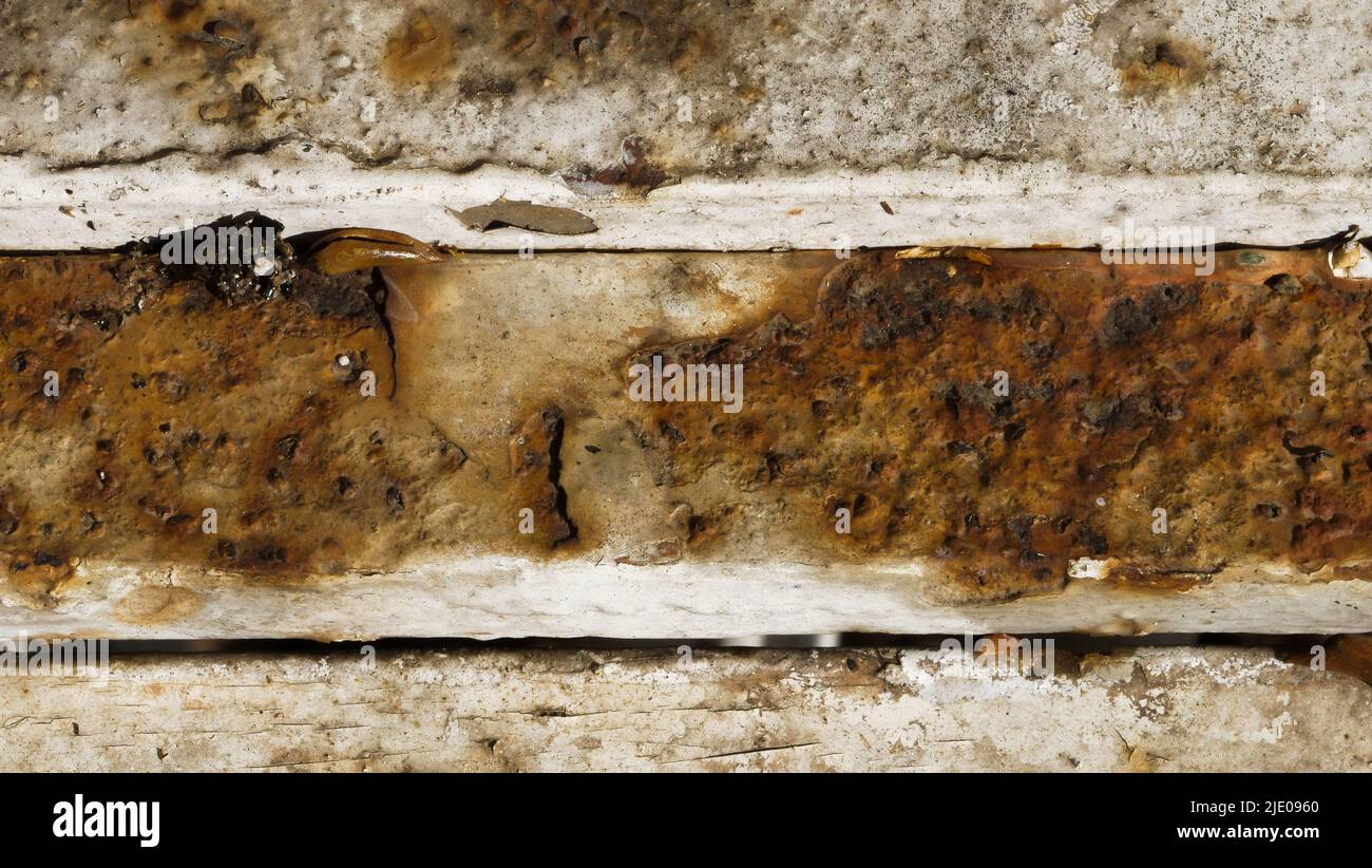 Gorgeous grunge white metal, heavy rusty metal background, dirty and ...