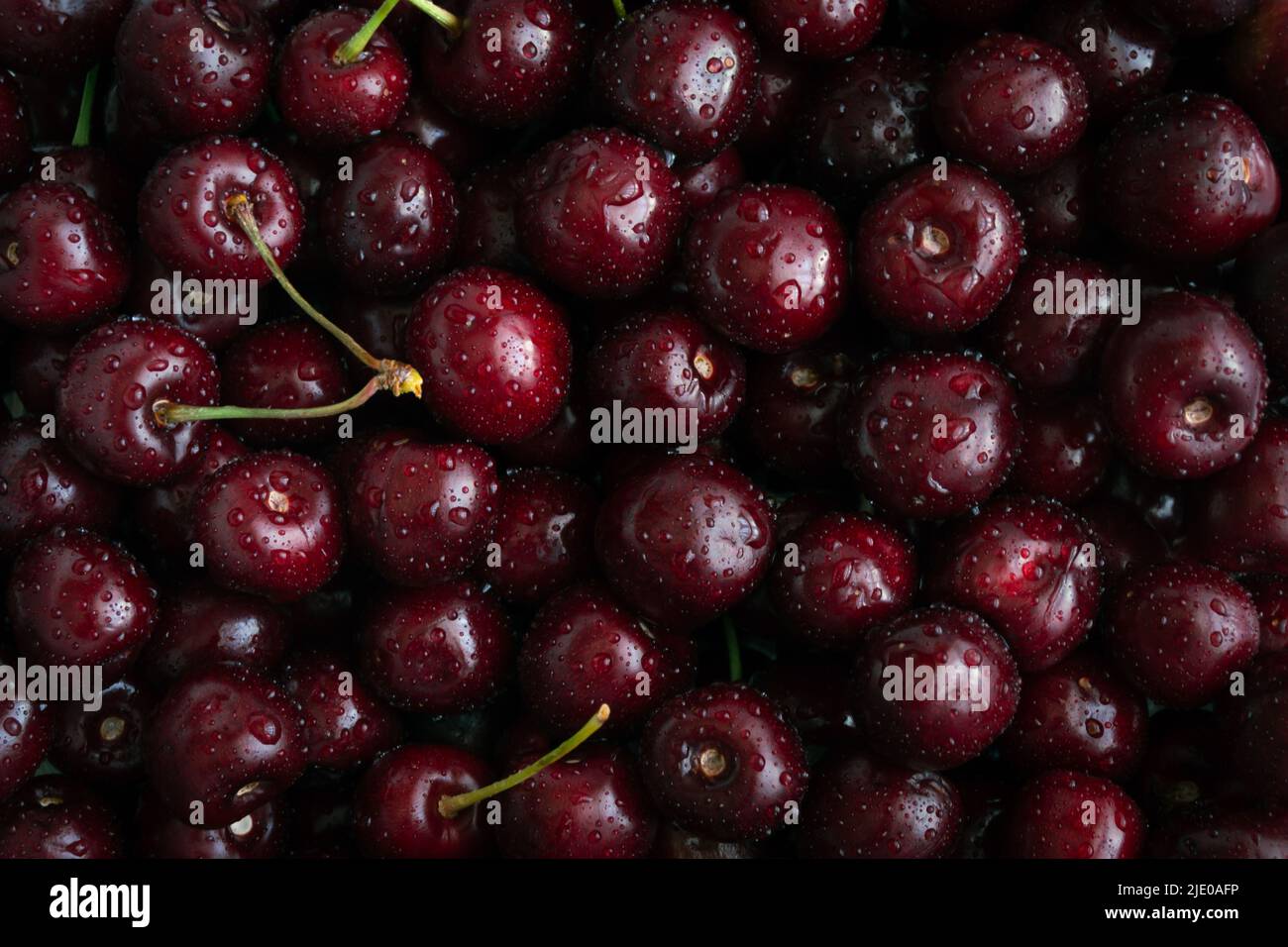Cherries background. Dark Cherry with drops. Food background Stock ...