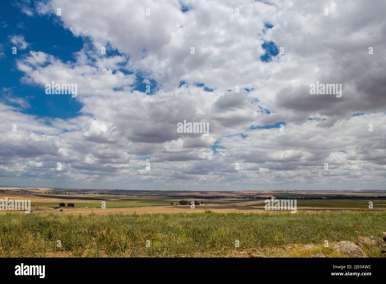 Landscape and nature in south Spain during summer time, Spain is home ...