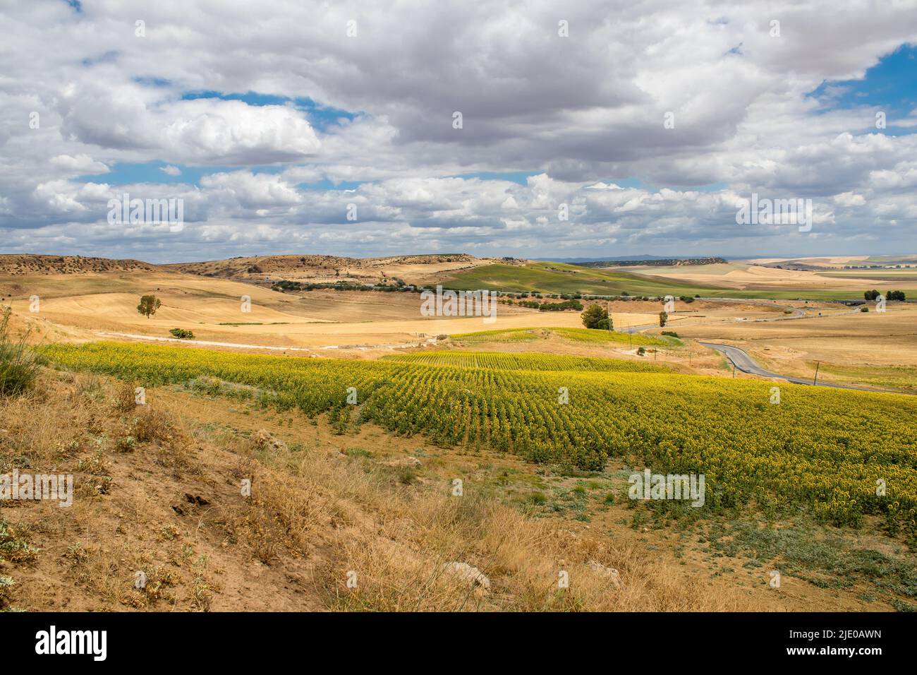 Landscape and nature in south Spain during summer time, Spain is home ...