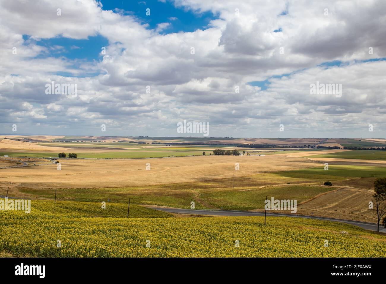 Landscape and nature in south Spain during summer time, Spain is home ...