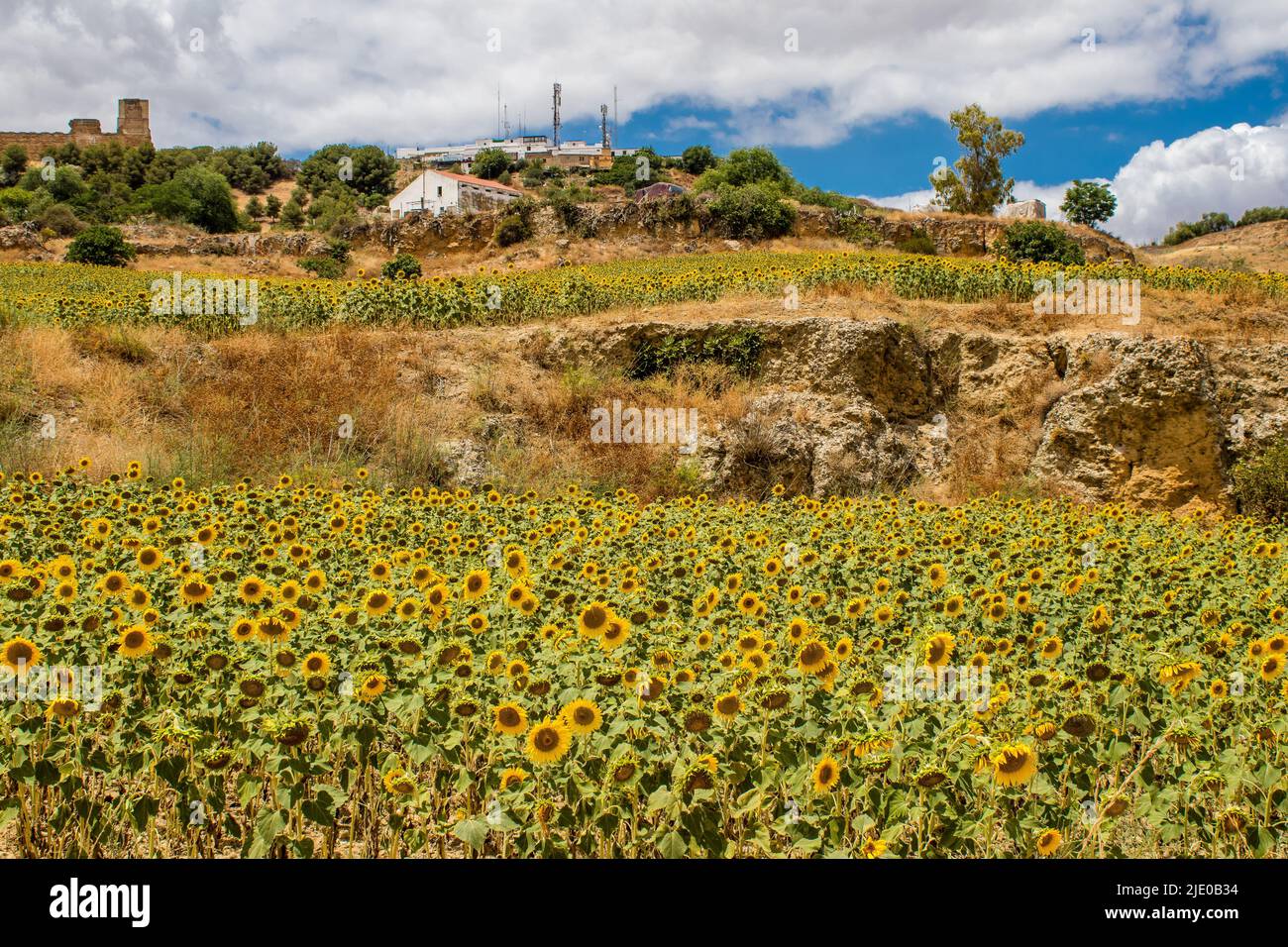 Landscape and nature in south Spain during summer time, Spain is home ...