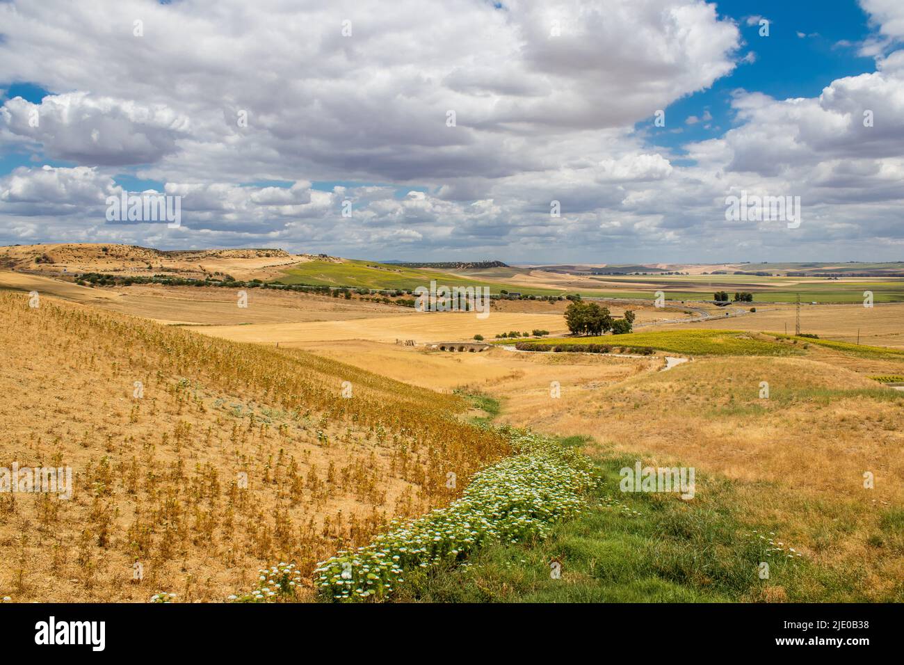 Landscape and nature in south Spain during summer time, Spain is home ...