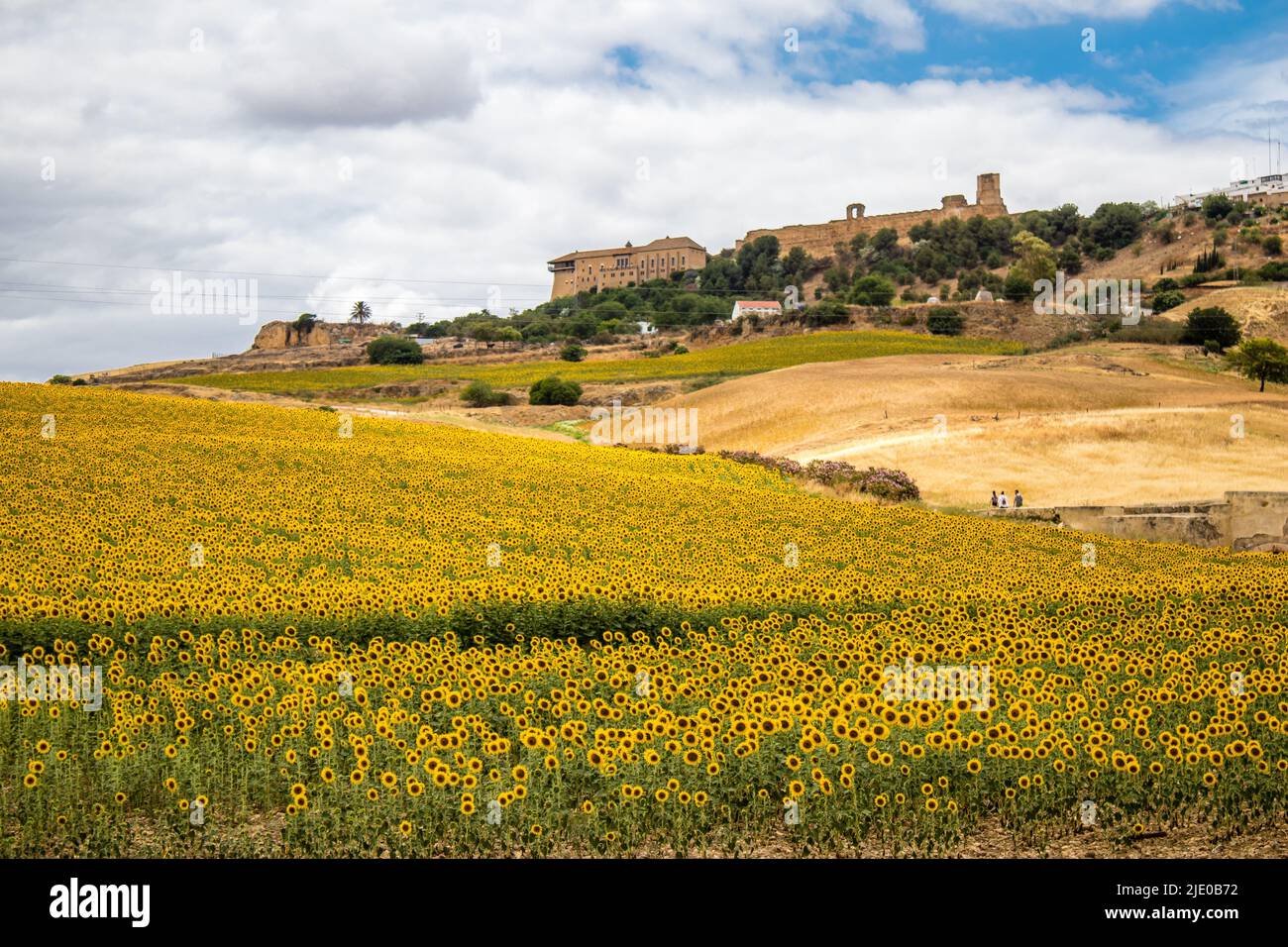 Landscape and nature in south Spain during summer time, Spain is home ...