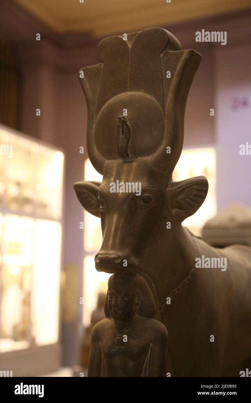 Pieces of the Egyptian Museum Stock Photo - Alamy