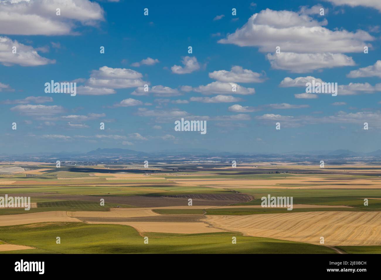 Landscape and nature in south Spain during summer time, Spain is home ...