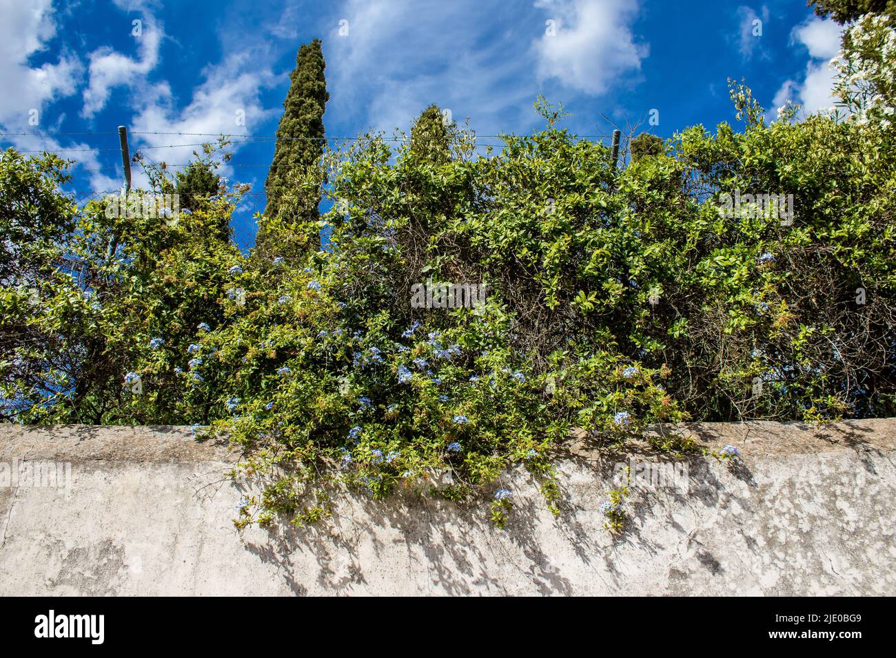 Landscape and nature in south Spain during summer time, Spain is home ...