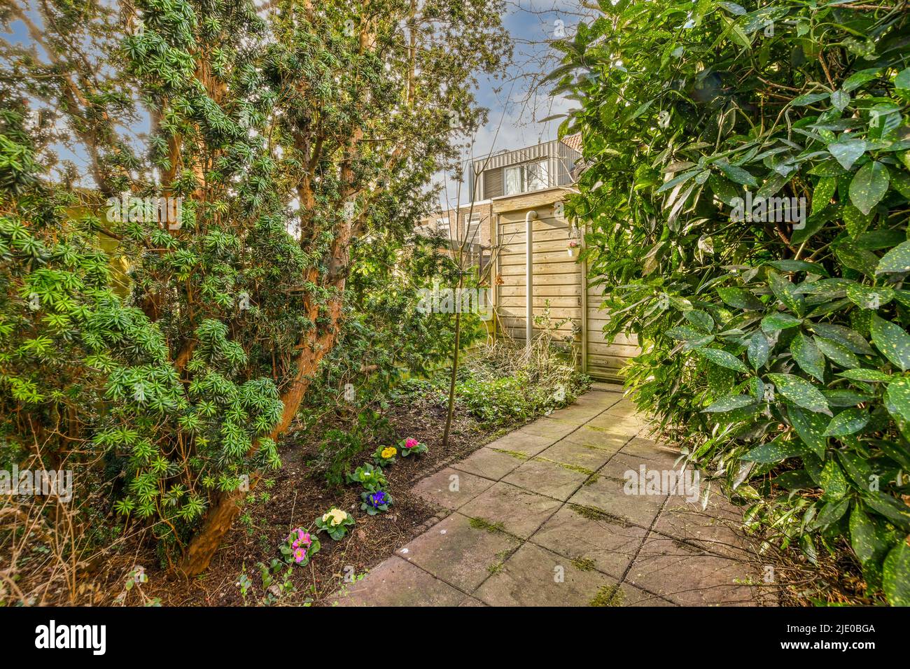 Spacious cozy and well maintained landscaped garden with beautiful ...
