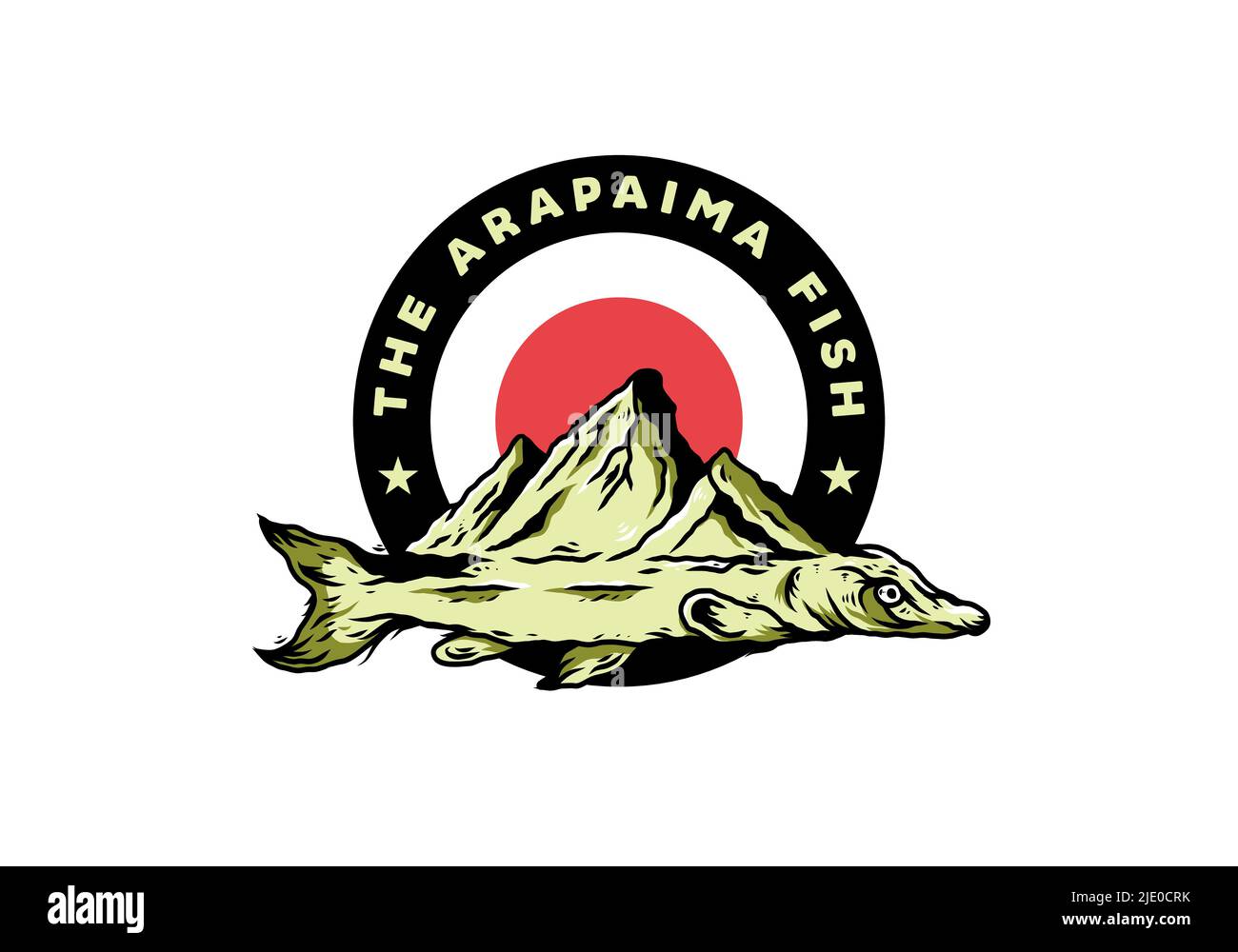 Arapaima, amazon Cut Out Stock Images & Pictures - Alamy