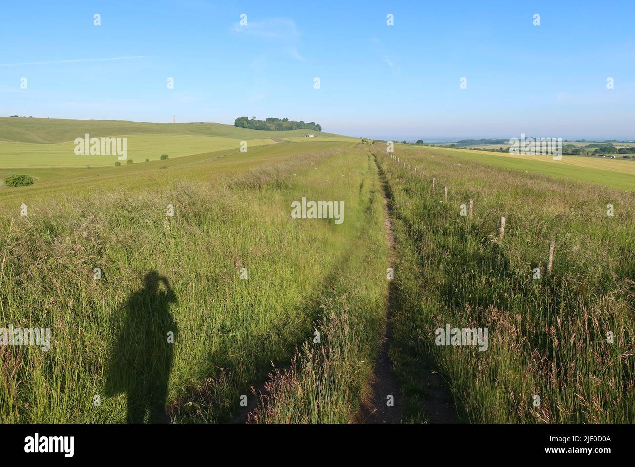 Wessex ridgeway. Wiltshire. Dorset. West Country. South West. England ...
