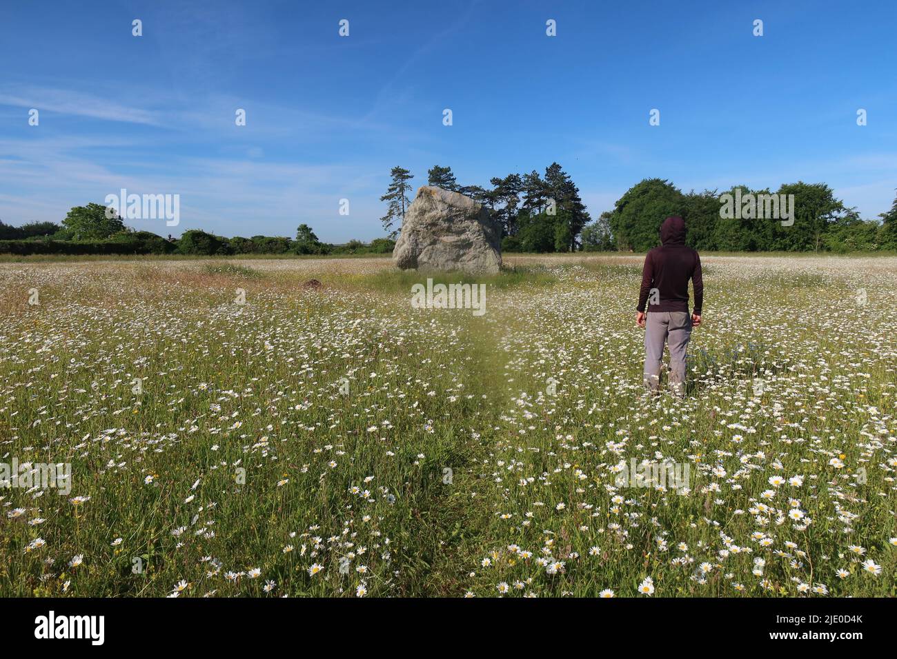 The Longstones. Adam and Eve stones. Beckhampton Avenue. Avebury ...
