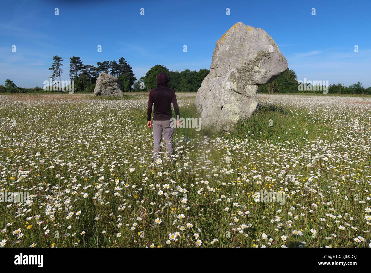 The Longstones. Adam and Eve stones. Beckhampton Avenue. Avebury ...