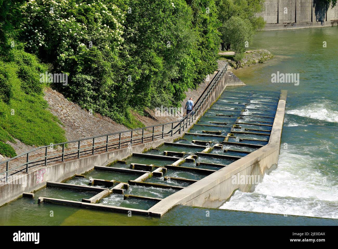 Fish ladder, fish ladder, at Maximiliansbruecke, Munich, Bavaria ...