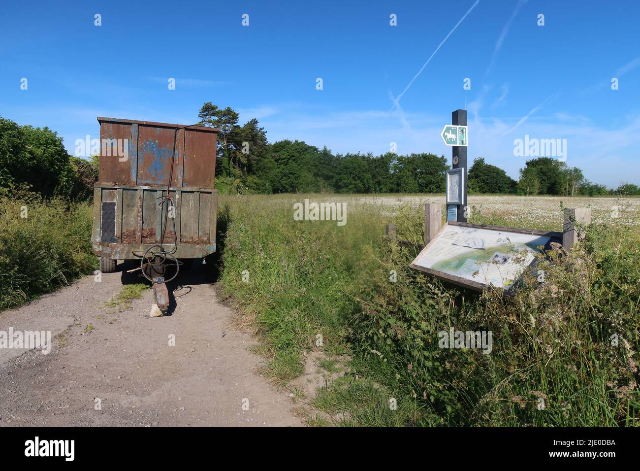 The Longstones. Adam and Eve stones. Beckhampton Avenue. Avebury ...